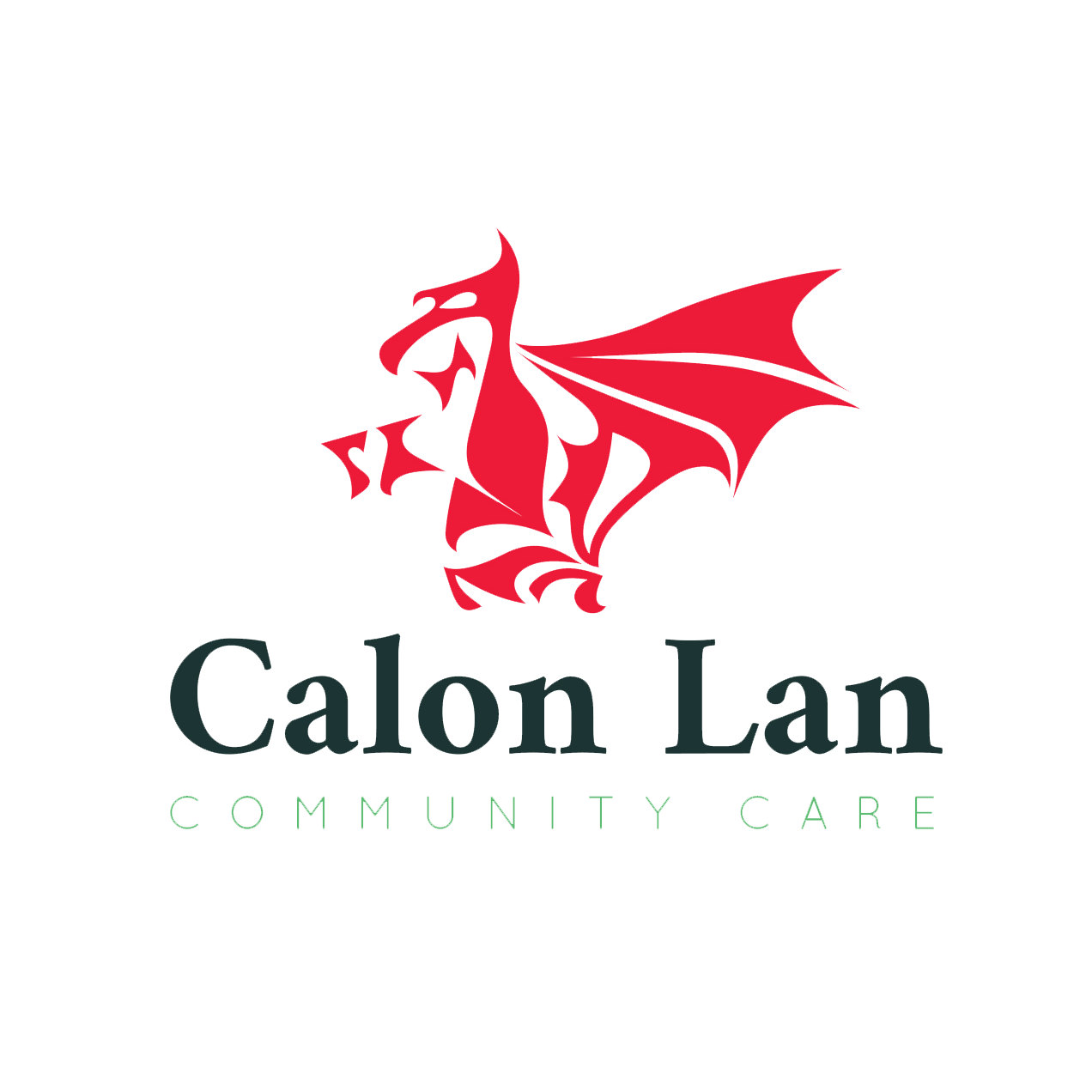 Care Assistant (Must be a driver) | Calon Lan Community Care | Conwy